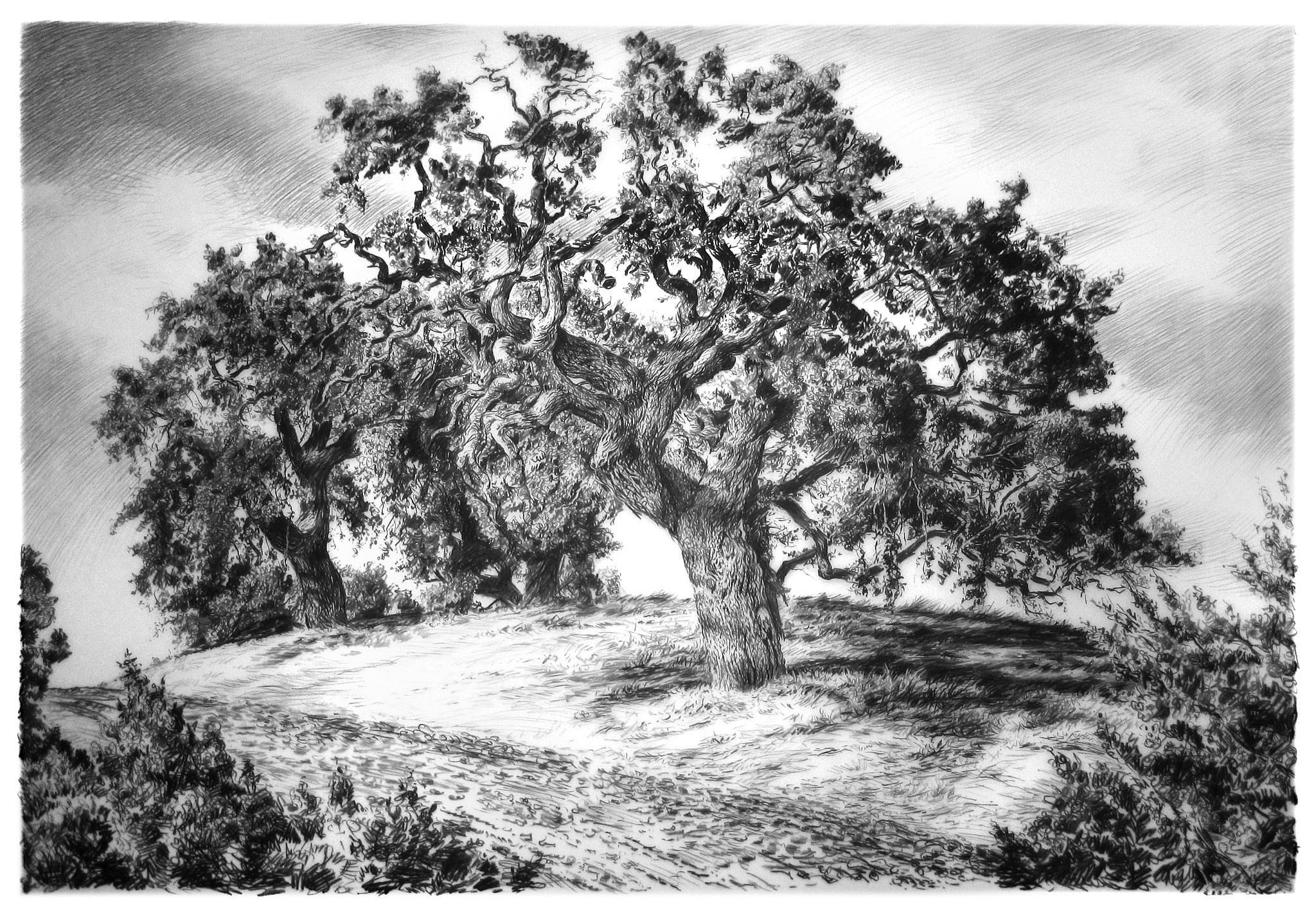 Rick Shaefer | Untitled #4 (The Parson's Tale) | 2018 | Sears Peyton ...