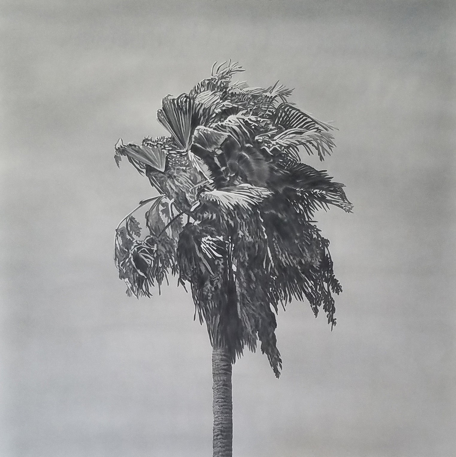 Clay Wagstaff | Works | Sears Peyton Gallery