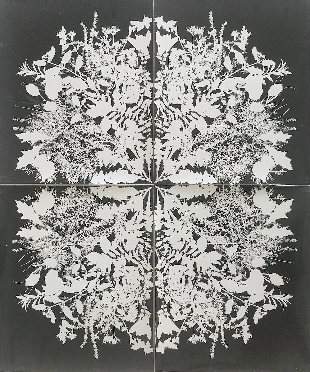 Wendy Small | Works | Sears Peyton Gallery