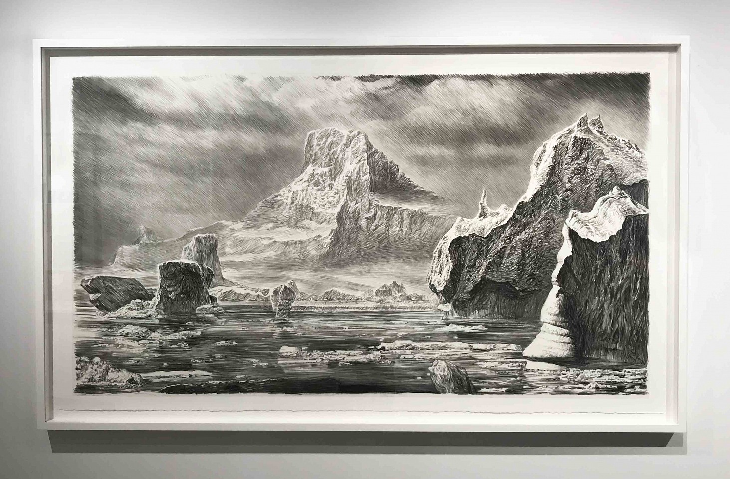 Rick Shaefer | American Bison | 2013 | Sears Peyton Gallery