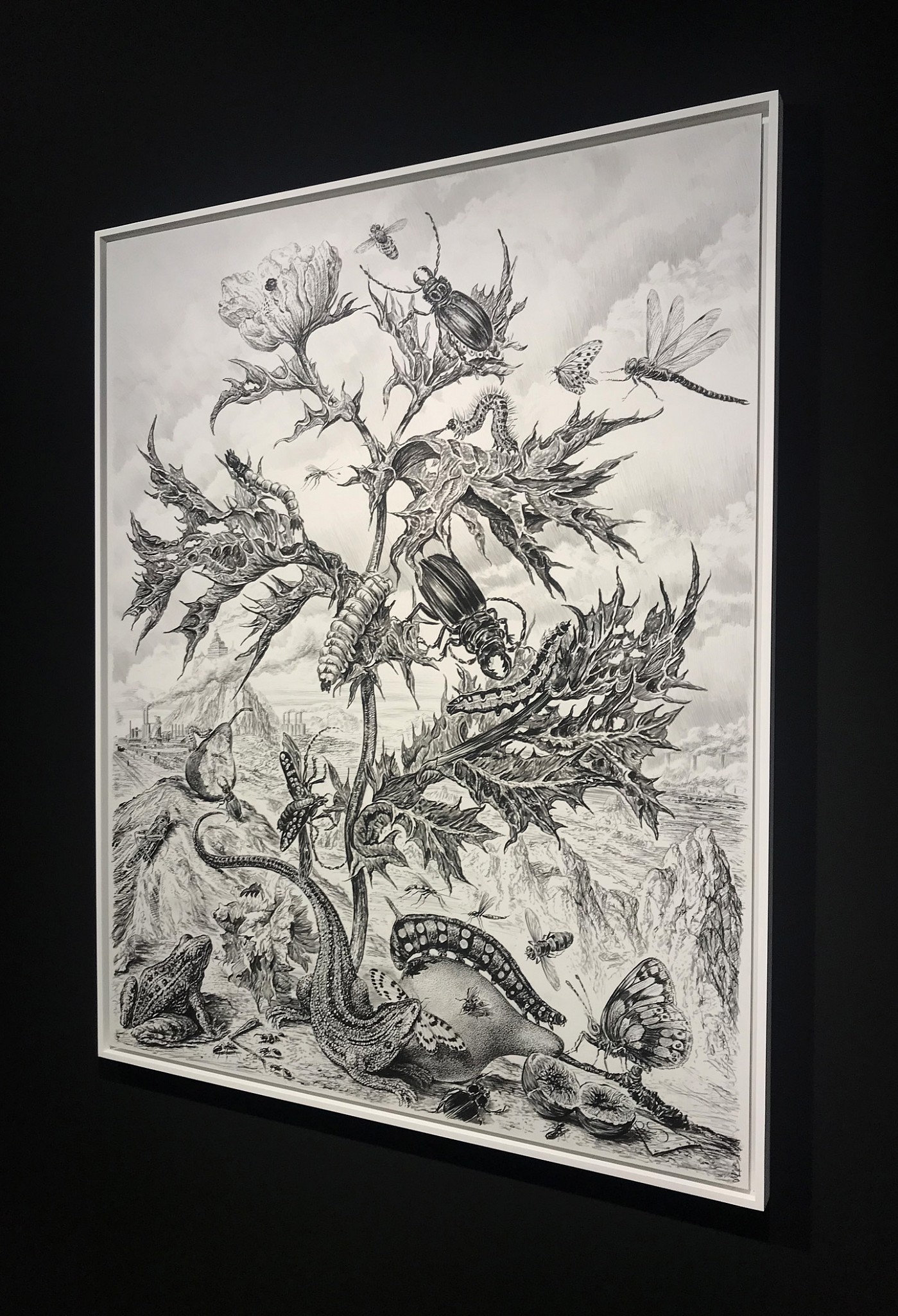 Rick Shaefer | American Bison | 2013 | Sears Peyton Gallery