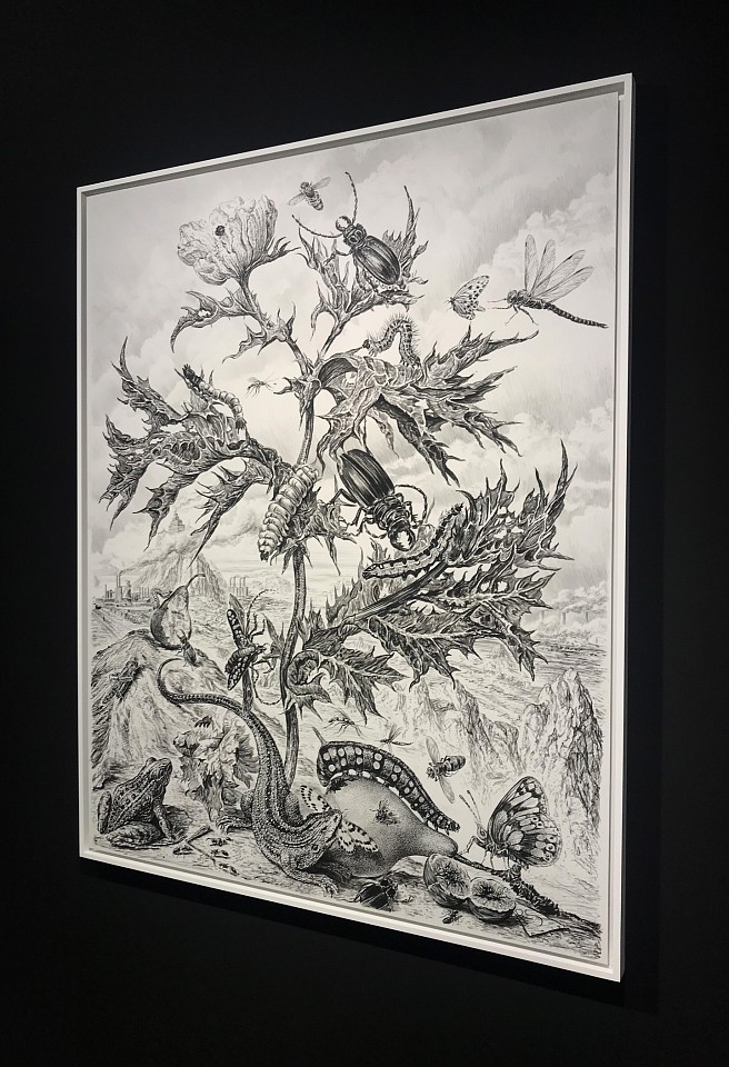 Rick Shaefer | Yak | 2017 | Sears Peyton Gallery