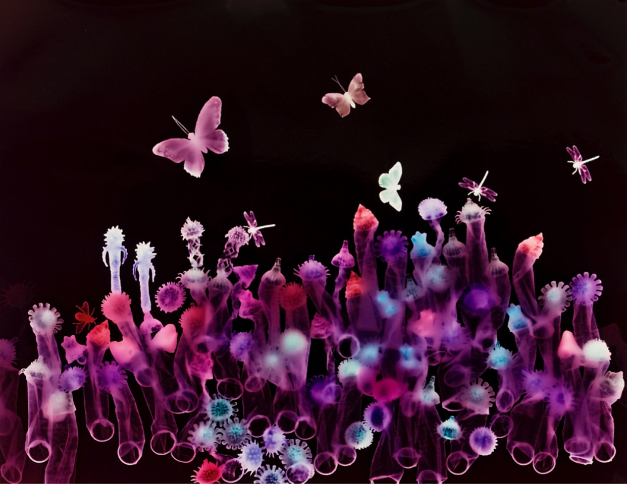 Wendy Small | Works | Sears Peyton Gallery