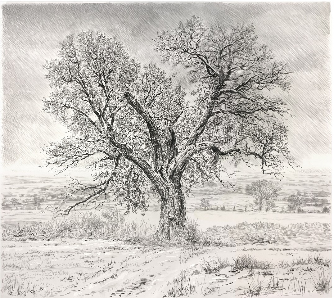 Rick Shaefer (LA) | Lone Oak in Snowy Fields | 2020 | Sears Peyton Gallery