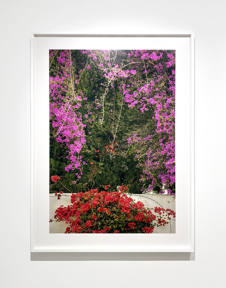 The Container Garden | Sears Peyton Gallery