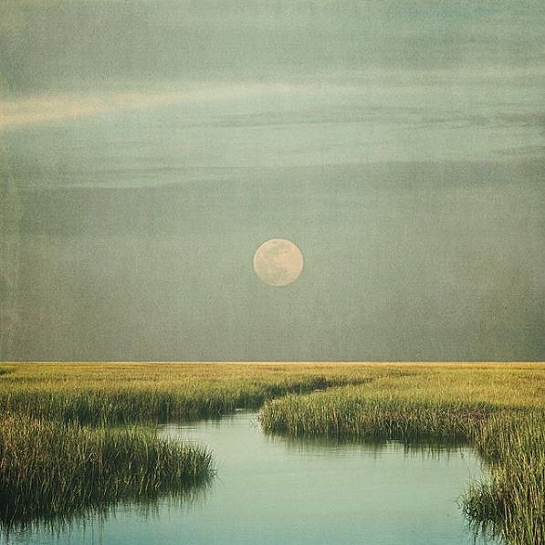 Thomas Hager (LA) | Works | Sears Peyton Gallery