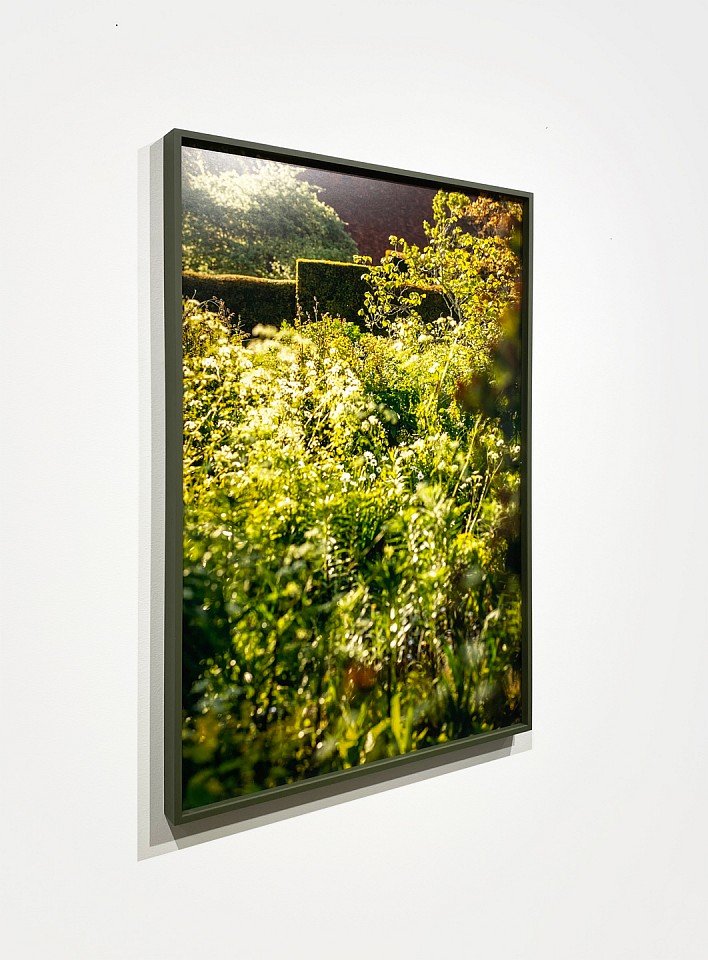 Susanna Howe | Works | Sears Peyton Gallery