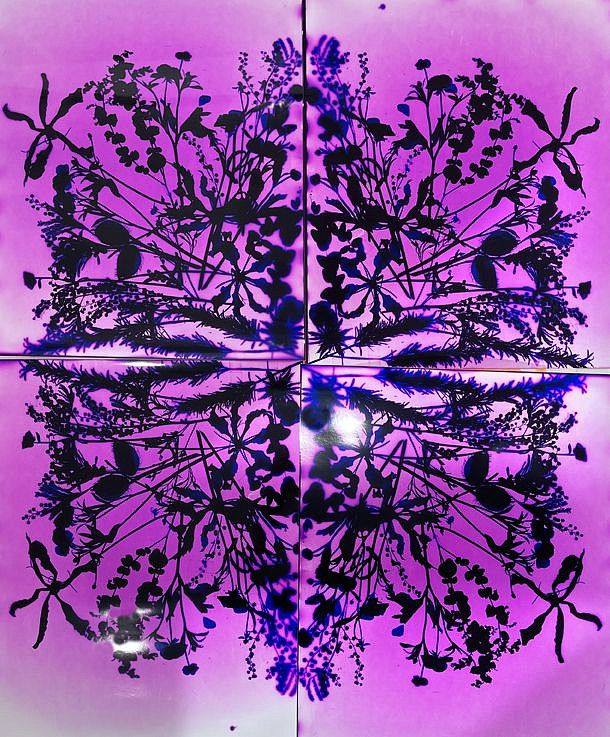 Wendy Small | Works | Sears Peyton Gallery