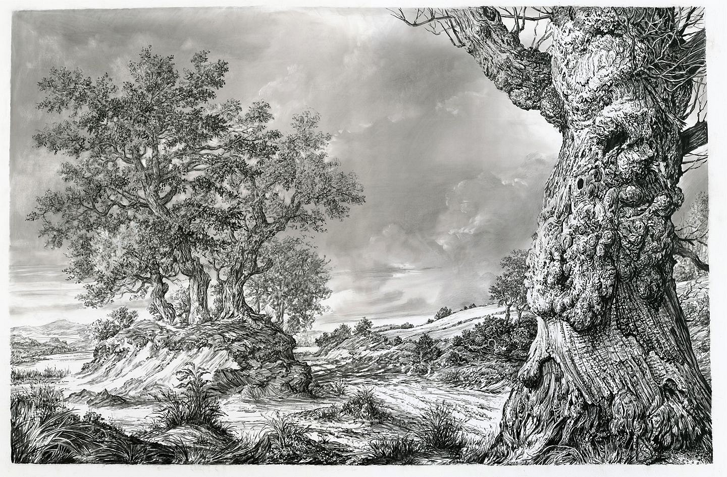 Rick Shaefer | Yak | 2017 | Sears Peyton Gallery