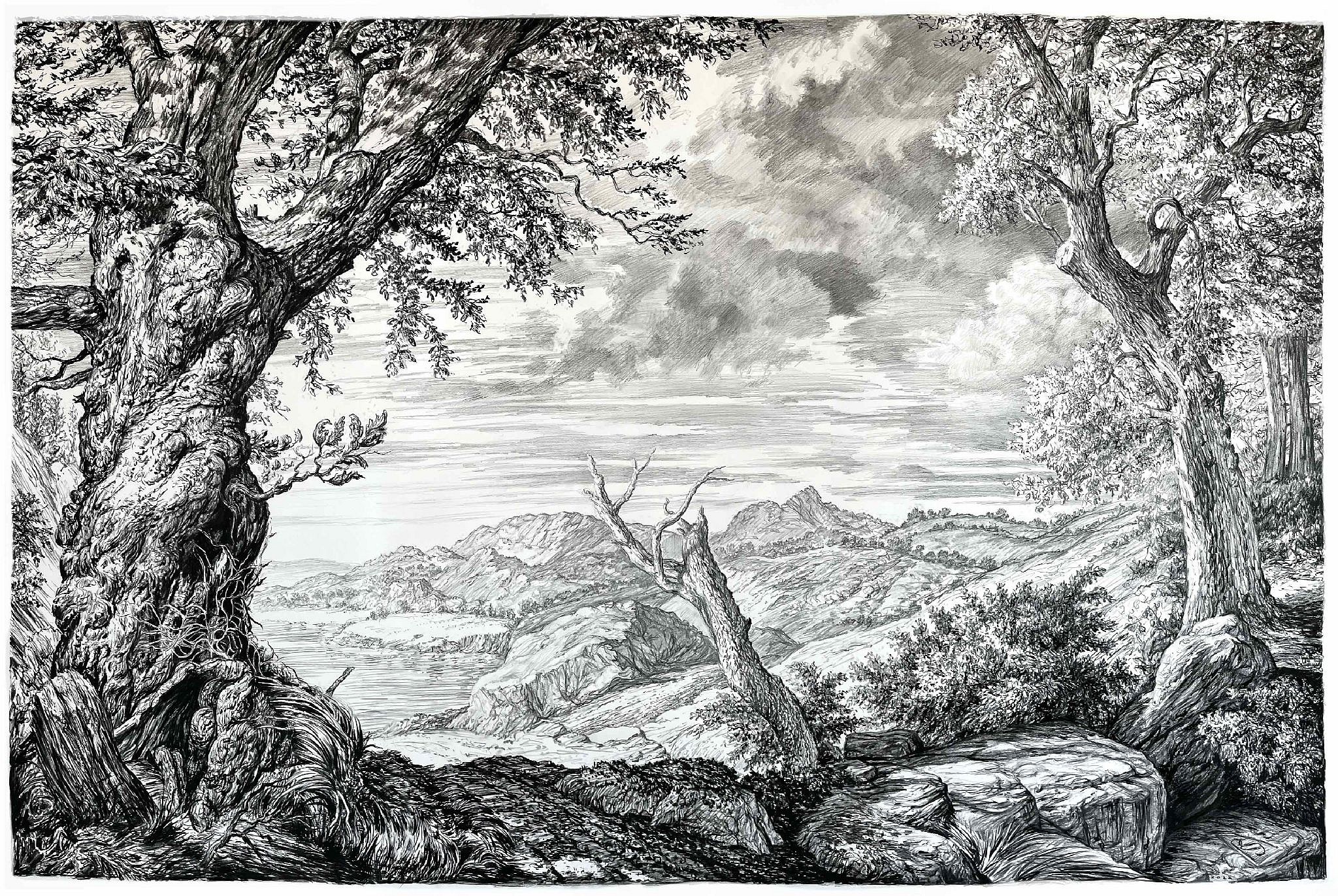 Rick Shaefer | Cumulus #5 | 2014 | Sears Peyton Gallery