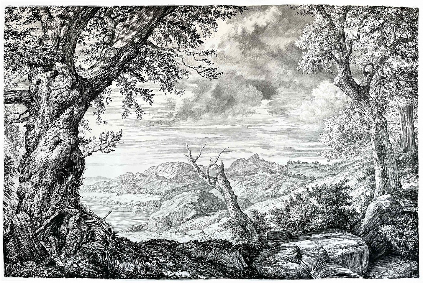 Rick Shaefer | Yak | 2017 | Sears Peyton Gallery