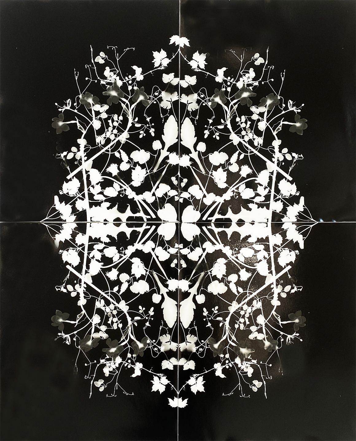 Wendy Small | Works | Sears Peyton Gallery