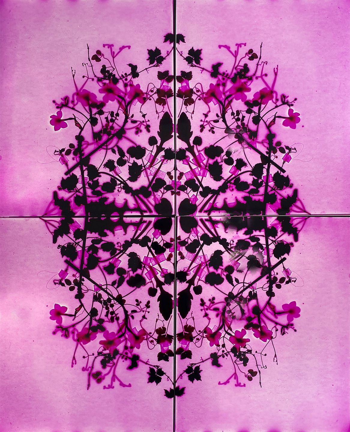 Wendy Small | | 2007 | Sears Peyton Gallery