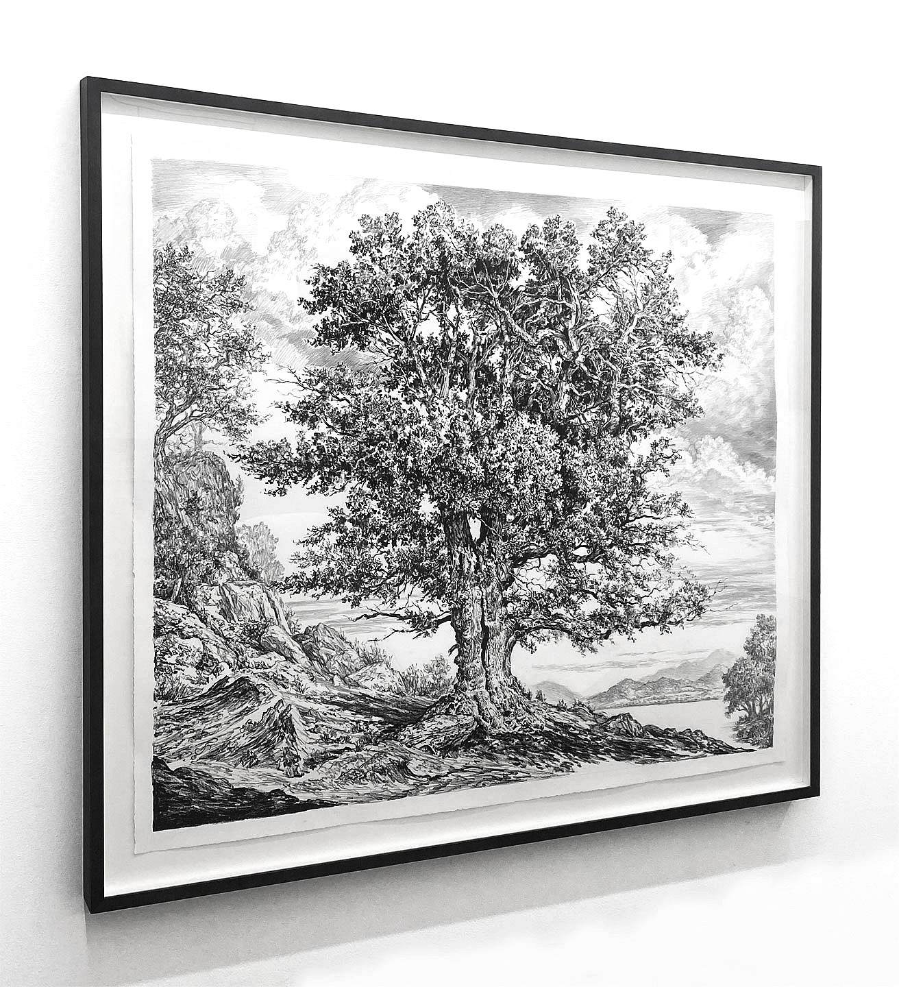 Rick Shaefer | Yak | 2017 | Sears Peyton Gallery