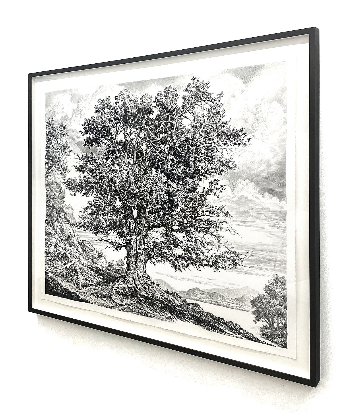 Rick Shaefer | Yak | 2017 | Sears Peyton Gallery