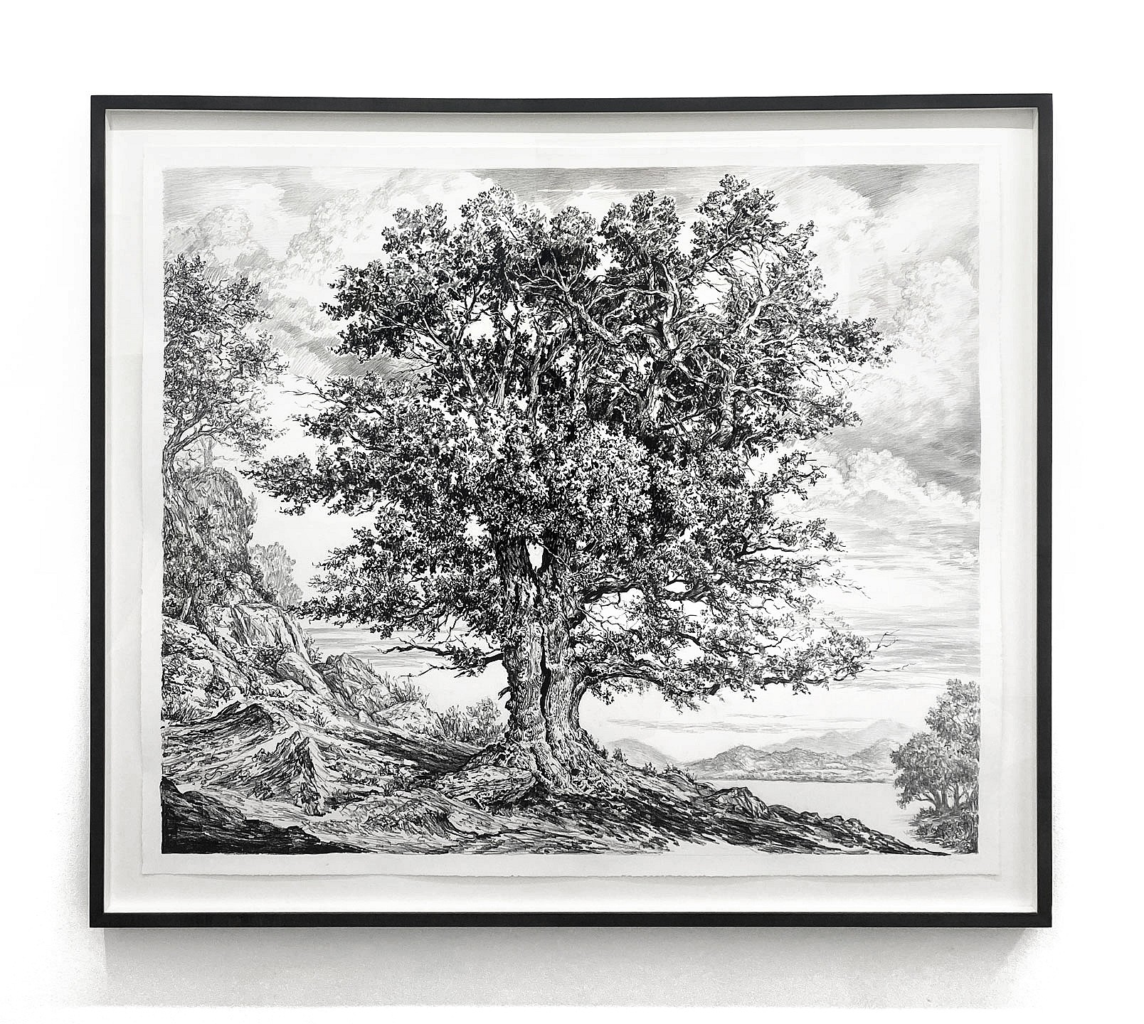 Rick Shaefer | Yak | 2017 | Sears Peyton Gallery