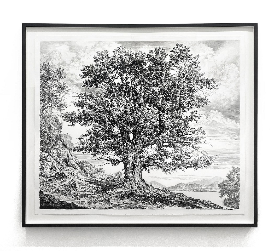 Rick Shaefer | Yak | 2017 | Sears Peyton Gallery