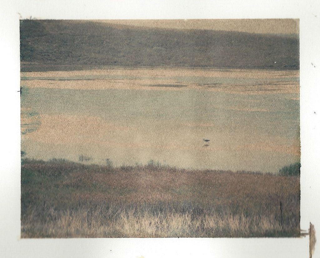 John Huggins (LA) | Malibu #9, ed. of 17 | 2011 | Sears Peyton Gallery