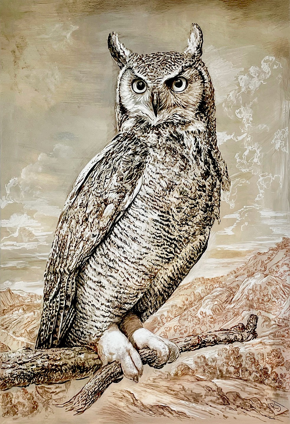 Rick Shaefer | American Bison | 2013 | Sears Peyton Gallery